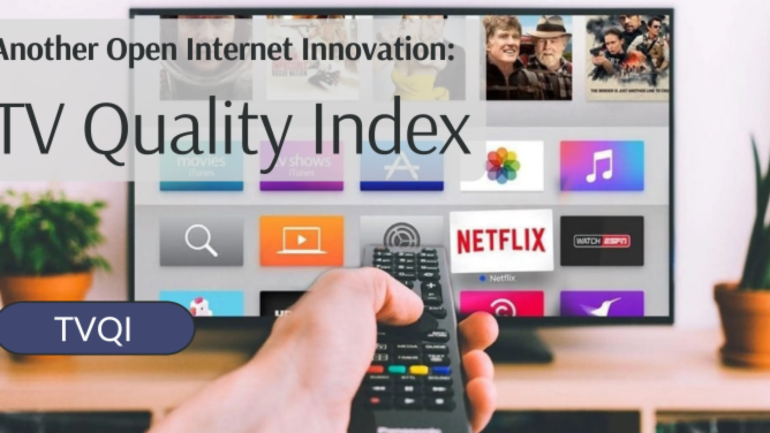 TV Quality Index (TVQI): Maximizing Ad Performance | SilverBack Advertising