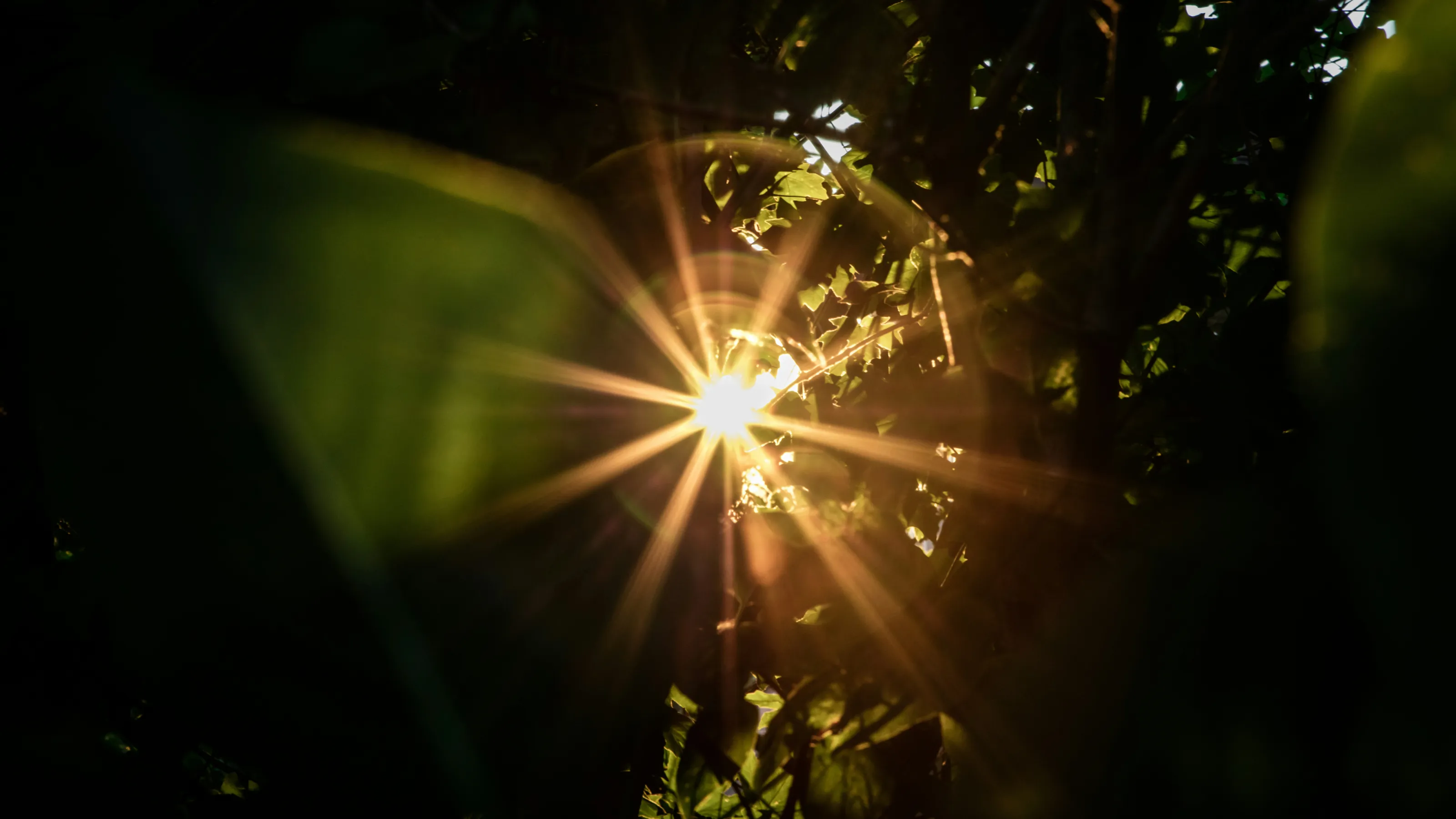 Select Investments | Private Equity & Direct Lending | Source Capital LLC