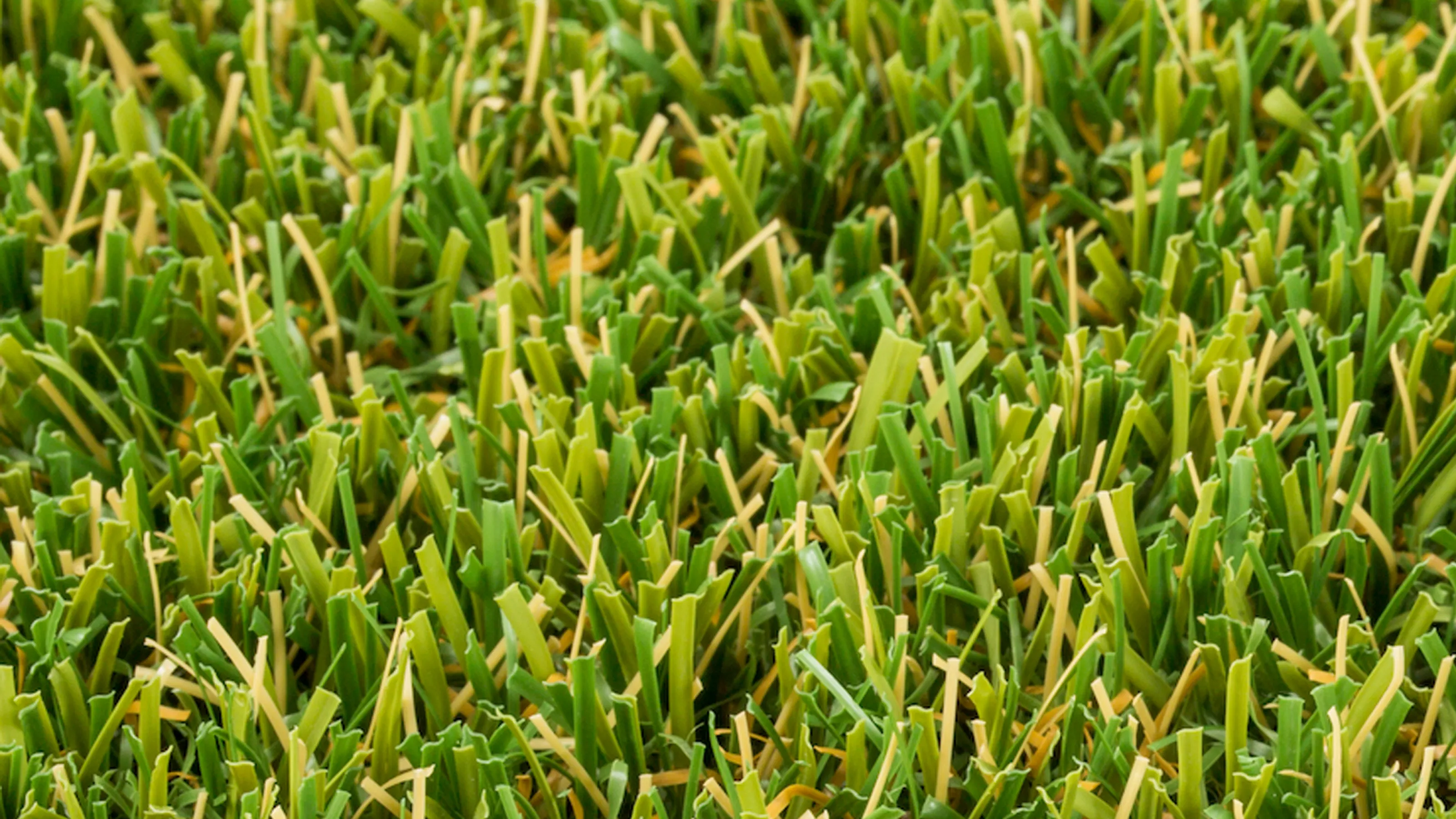 Wholesale Synthetic Turf Delivery – Made in USA | Turf Tek Direct