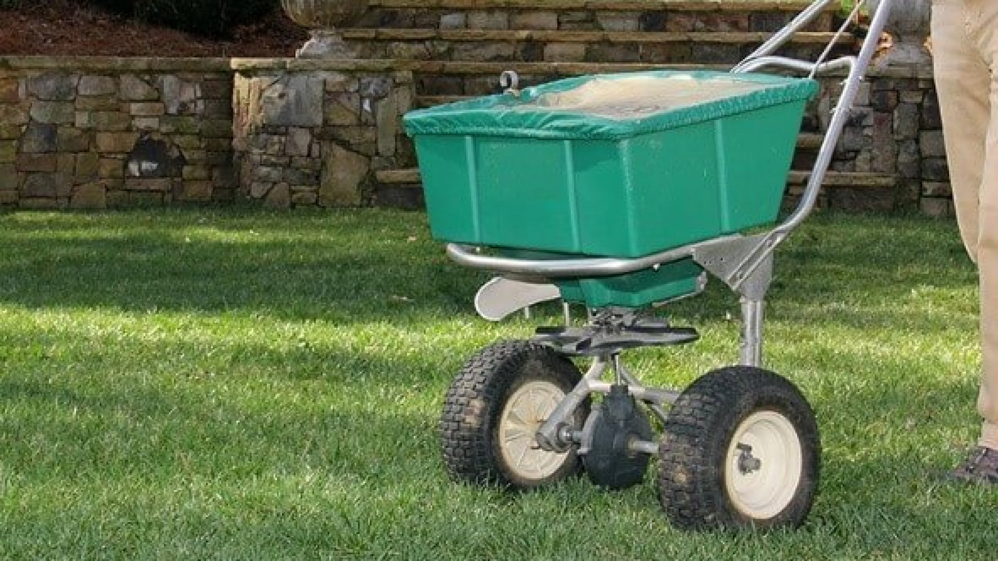 Fall Fescue Overseeding Tips | Turf Masters Lawn Care