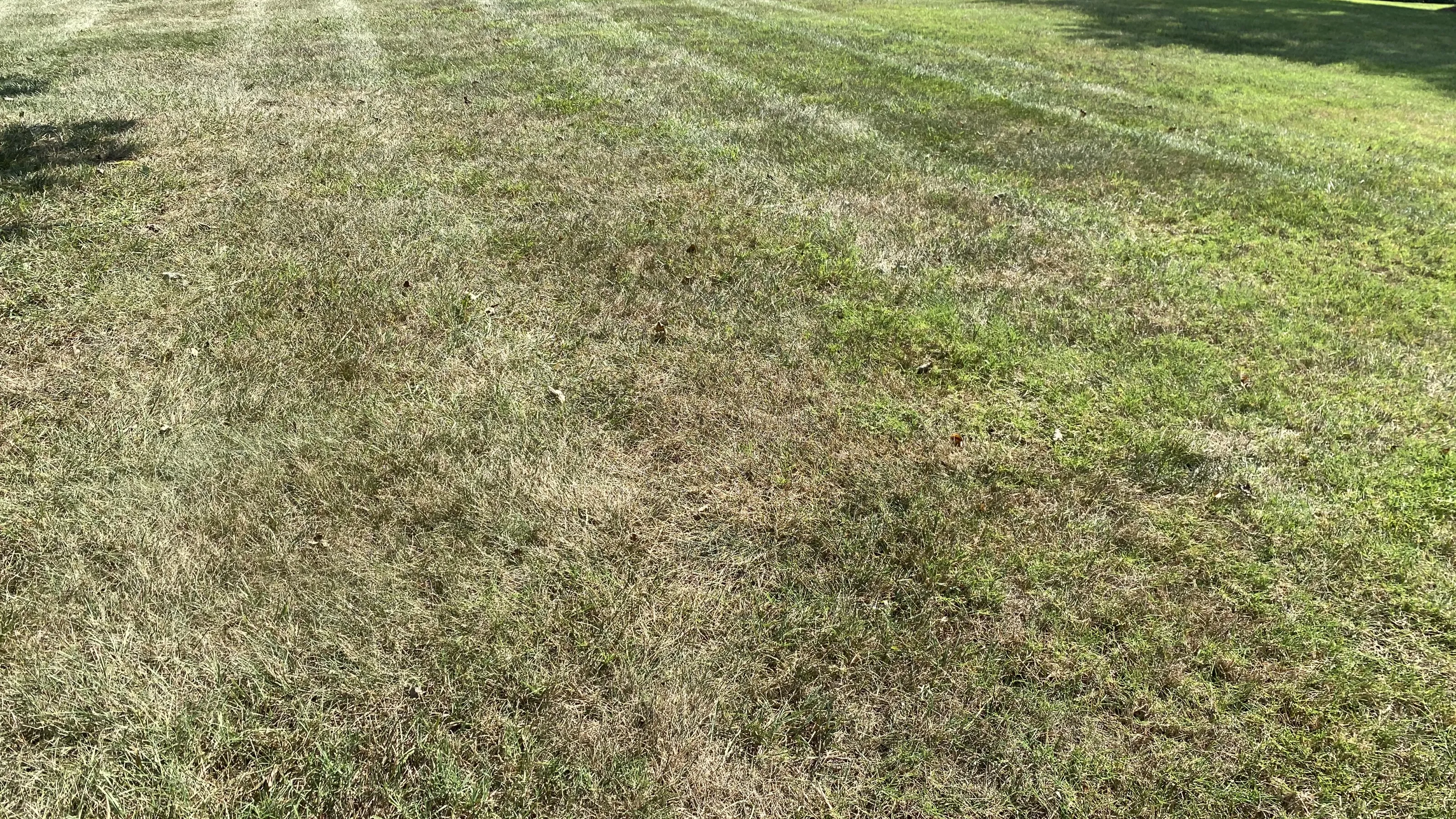 Resource Library - Turf Masters Lawn Care | Turf Masters Lawn Care