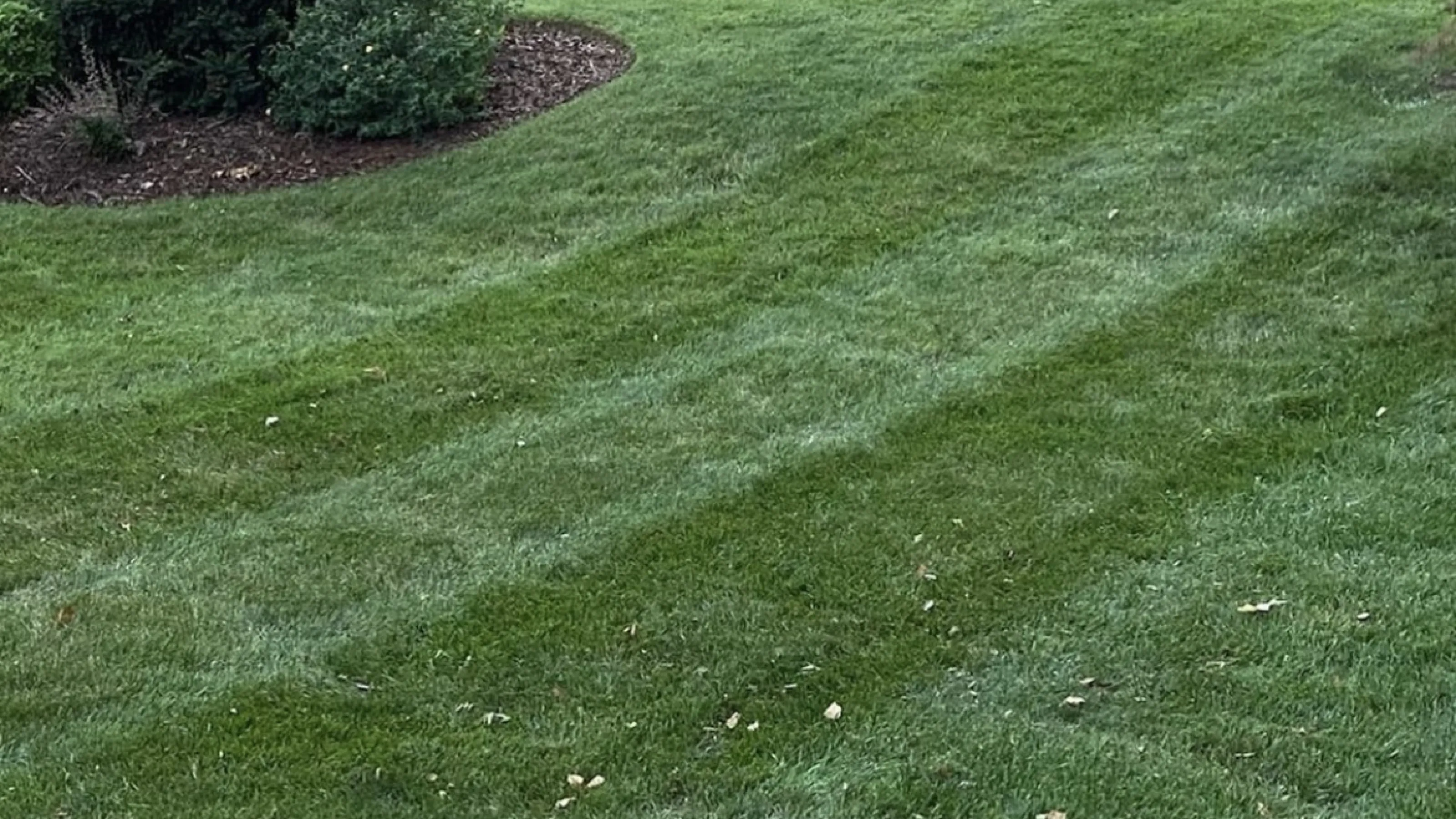 Atlanta, GA | Turf Masters Lawn Care