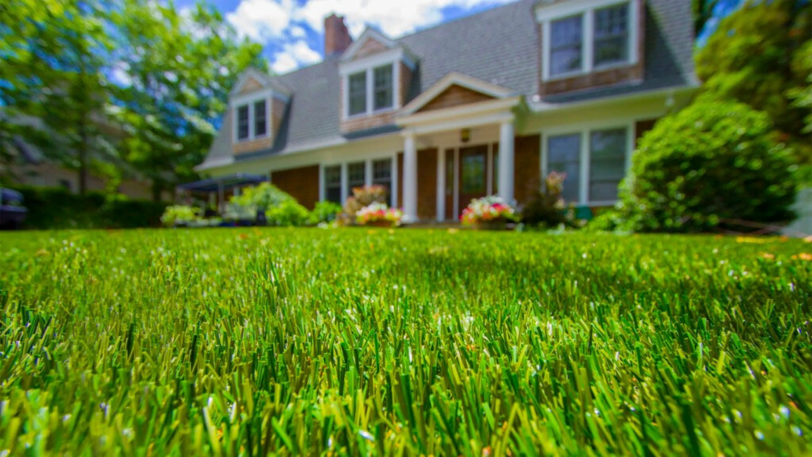 Premium Artificial Grass Provider and Installation | Turf Tek USA