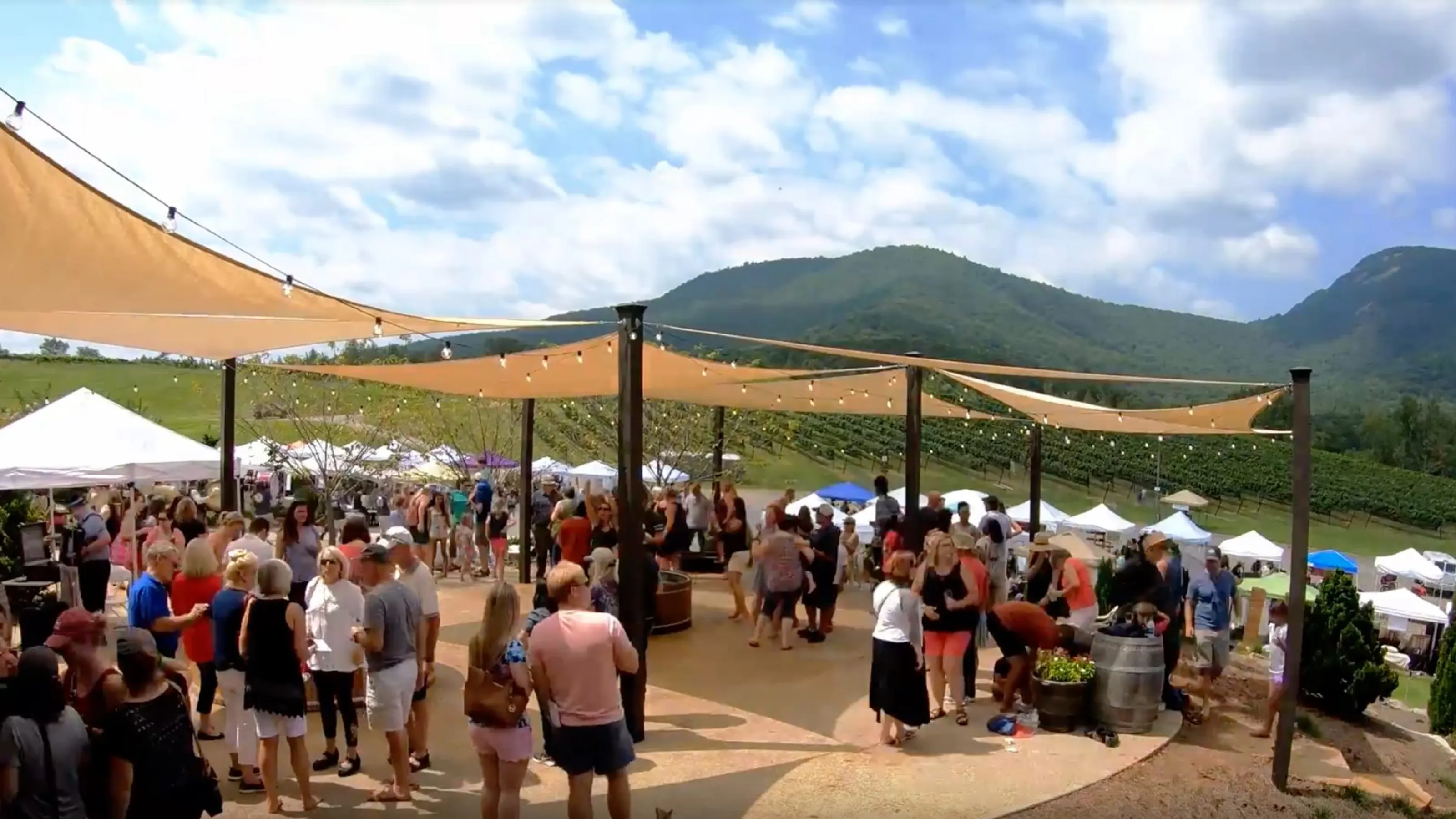 Wine Tours & Tastings | Yonah Mountain Vineyards