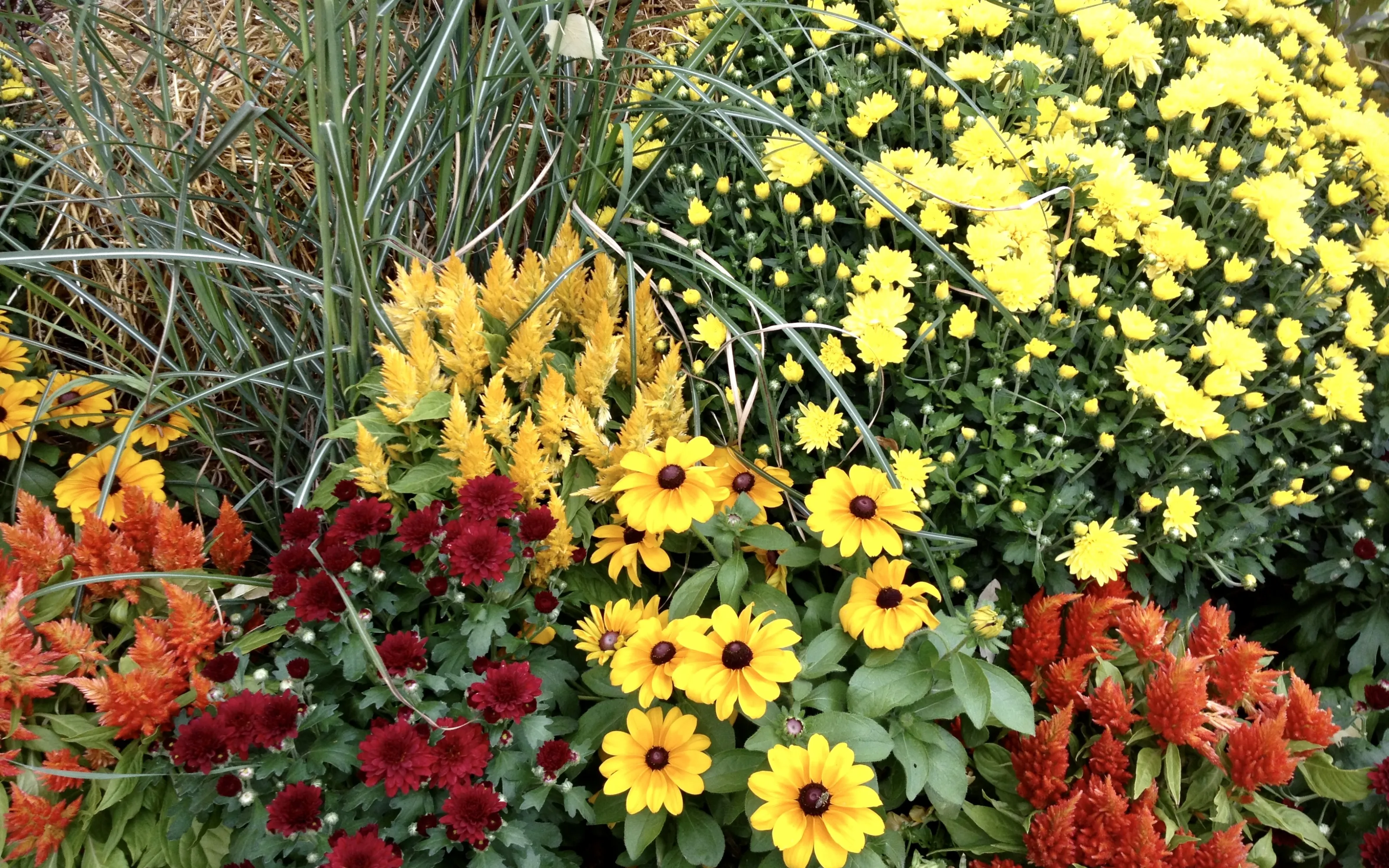 October Lawn & Garden Tips | Armstrong Garden Centers