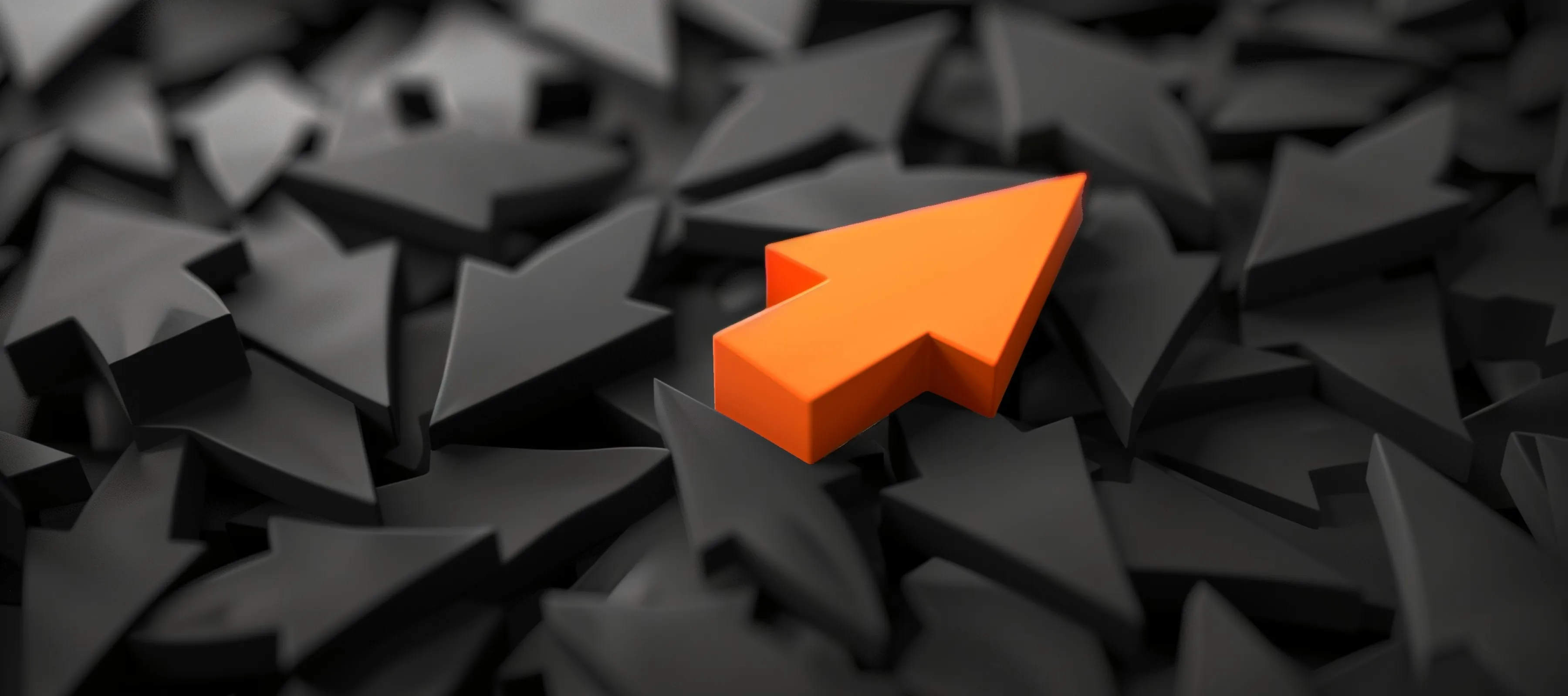Empowering Franchisees for Success | No To The Man Brands