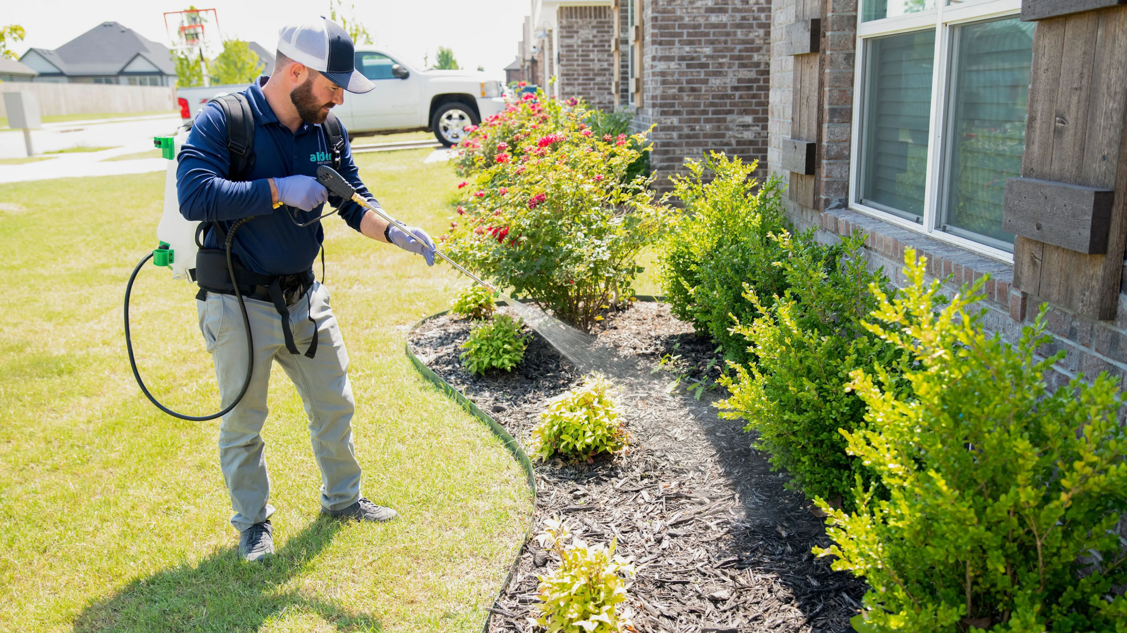 Pest Control | Alder Pest Control