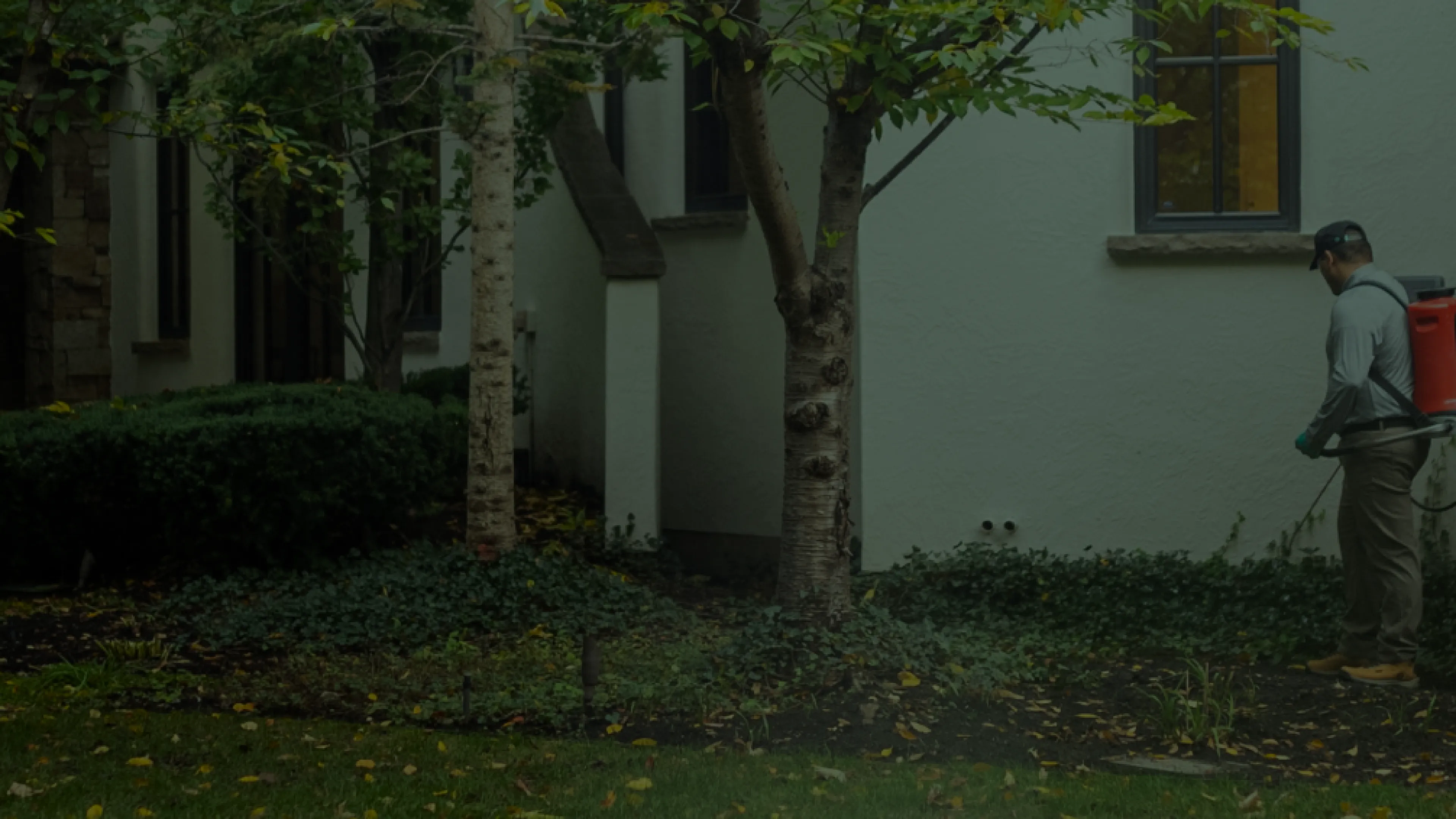 Contact Us & Customer Service | Greenix Pest Control