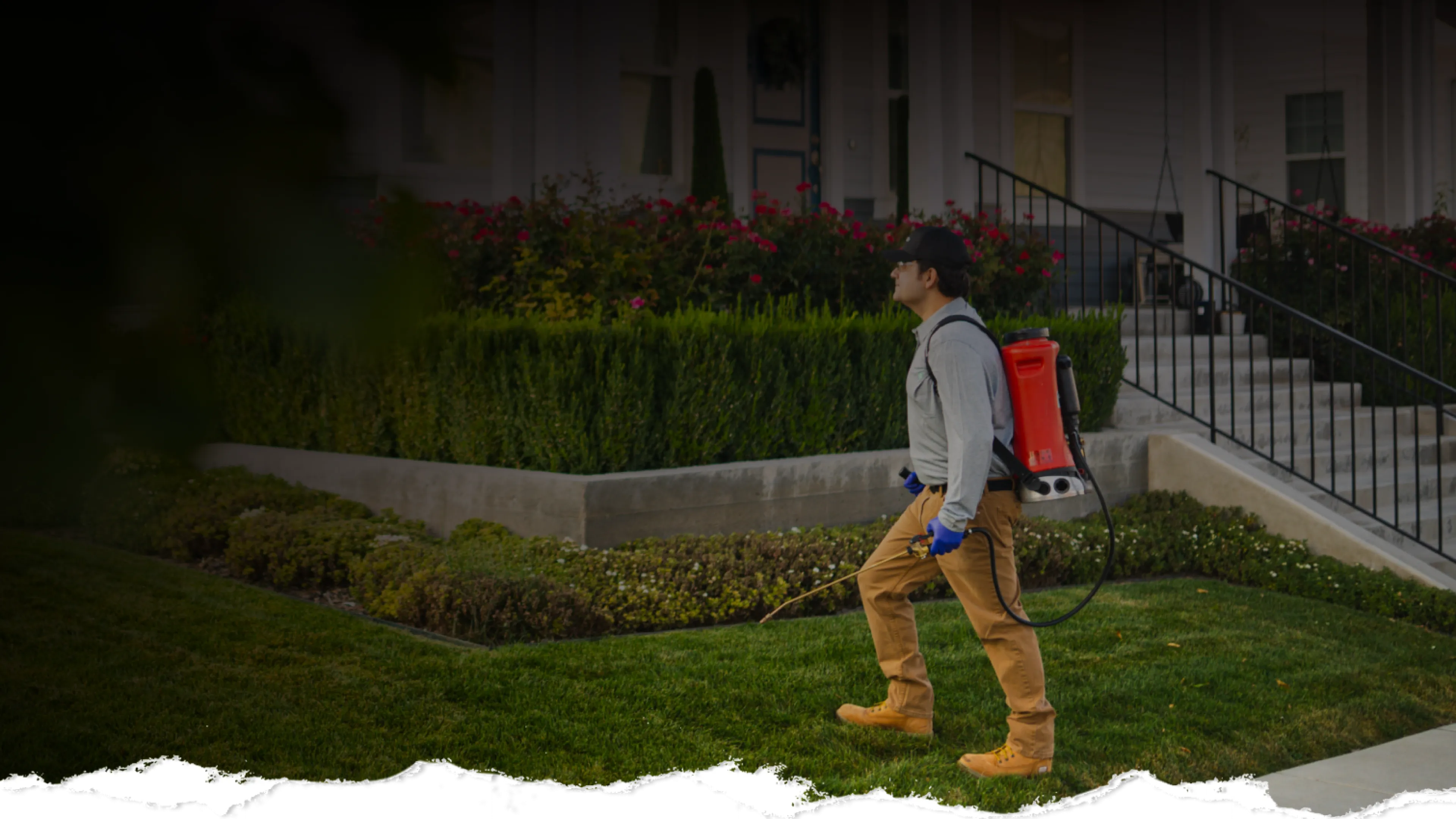 Pest Control Company | Greenix Pest Control