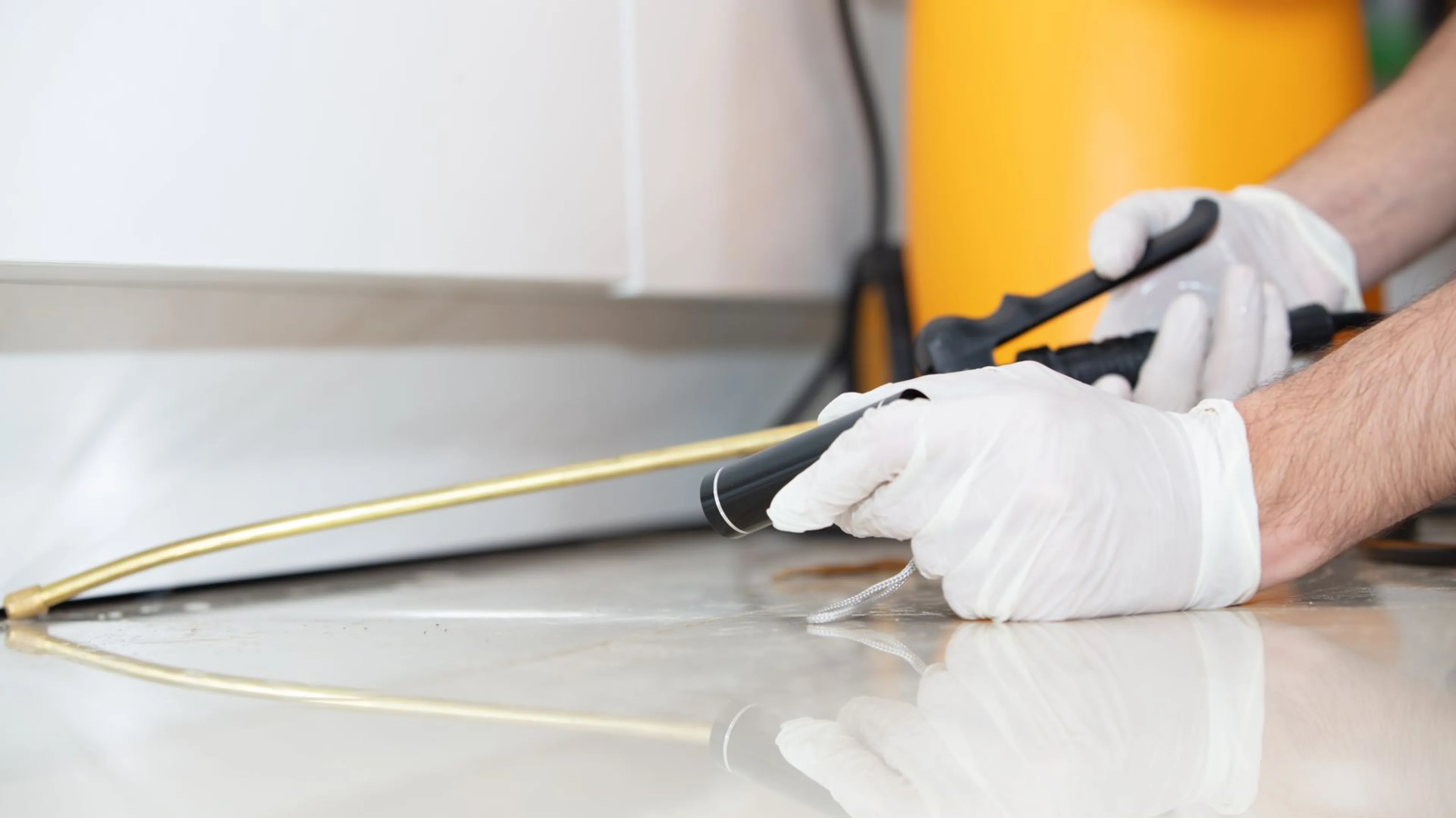 Perimeter Defense Pest Control Program | Kingfish Pest Control