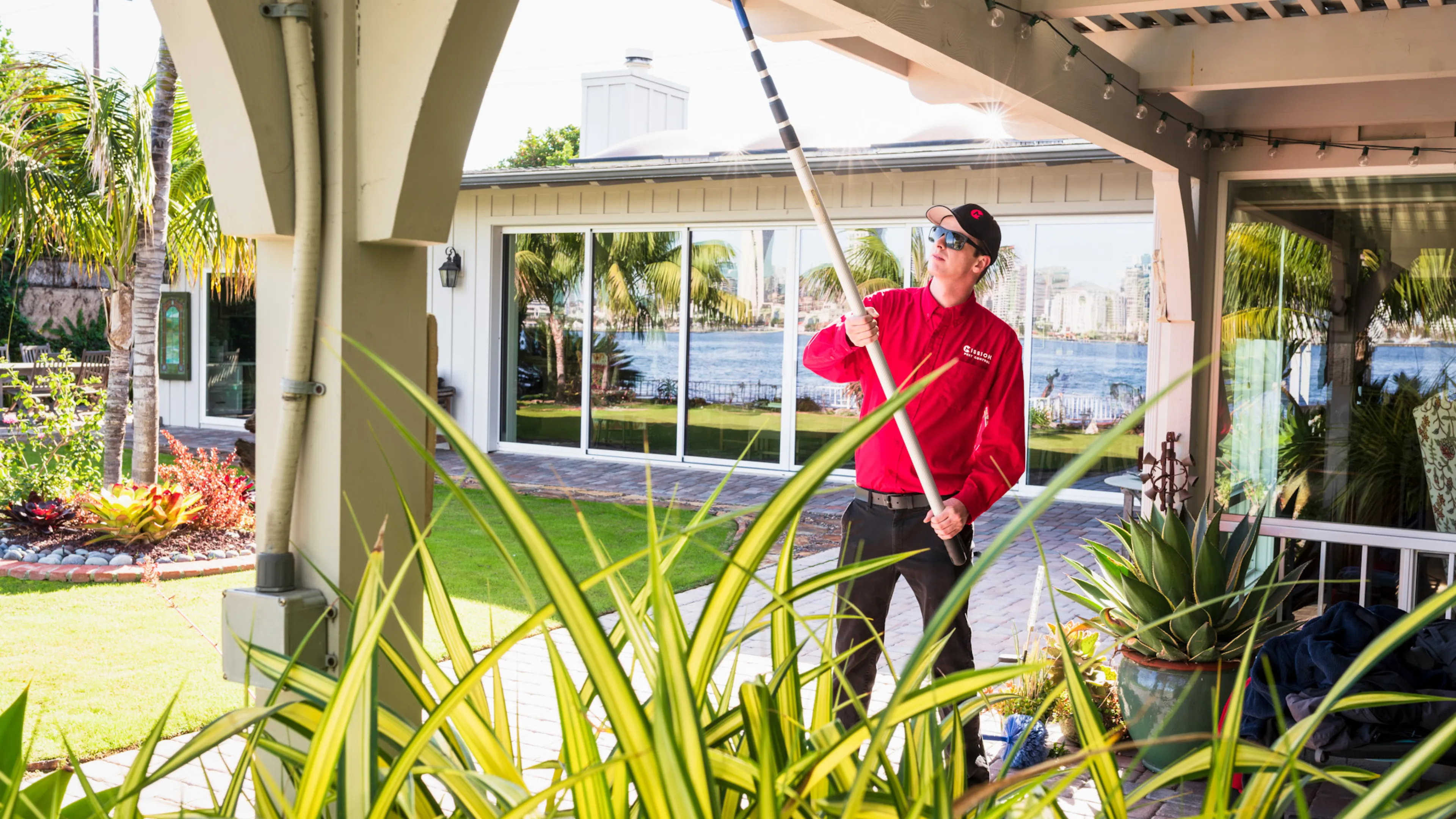 About Mission Pest - San Diego - With over 12 years of experience ...