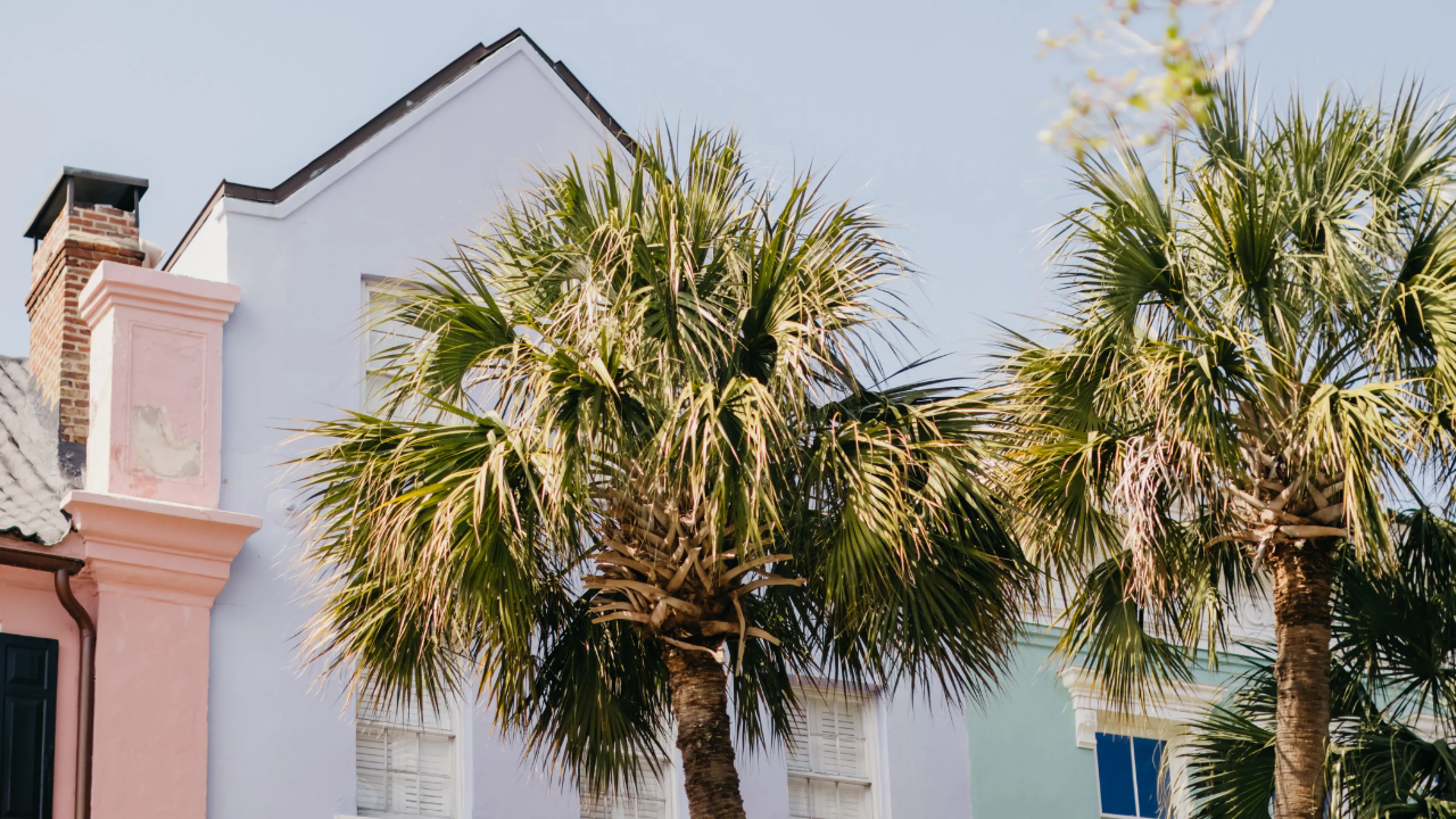 Pest Control in Isle of Palms | PestNation | PestNation