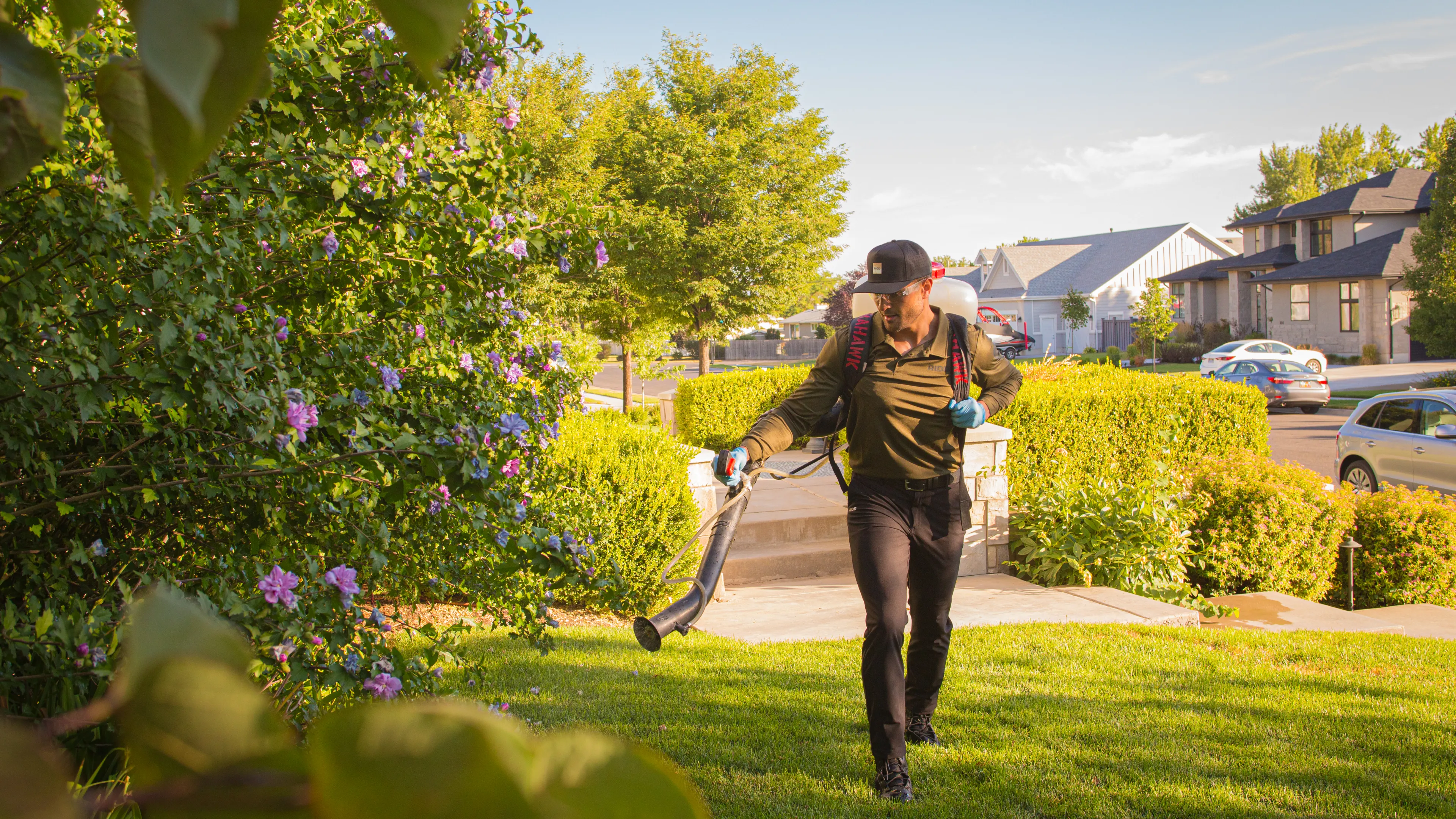 Pest Control Services | RIDD Pest Control