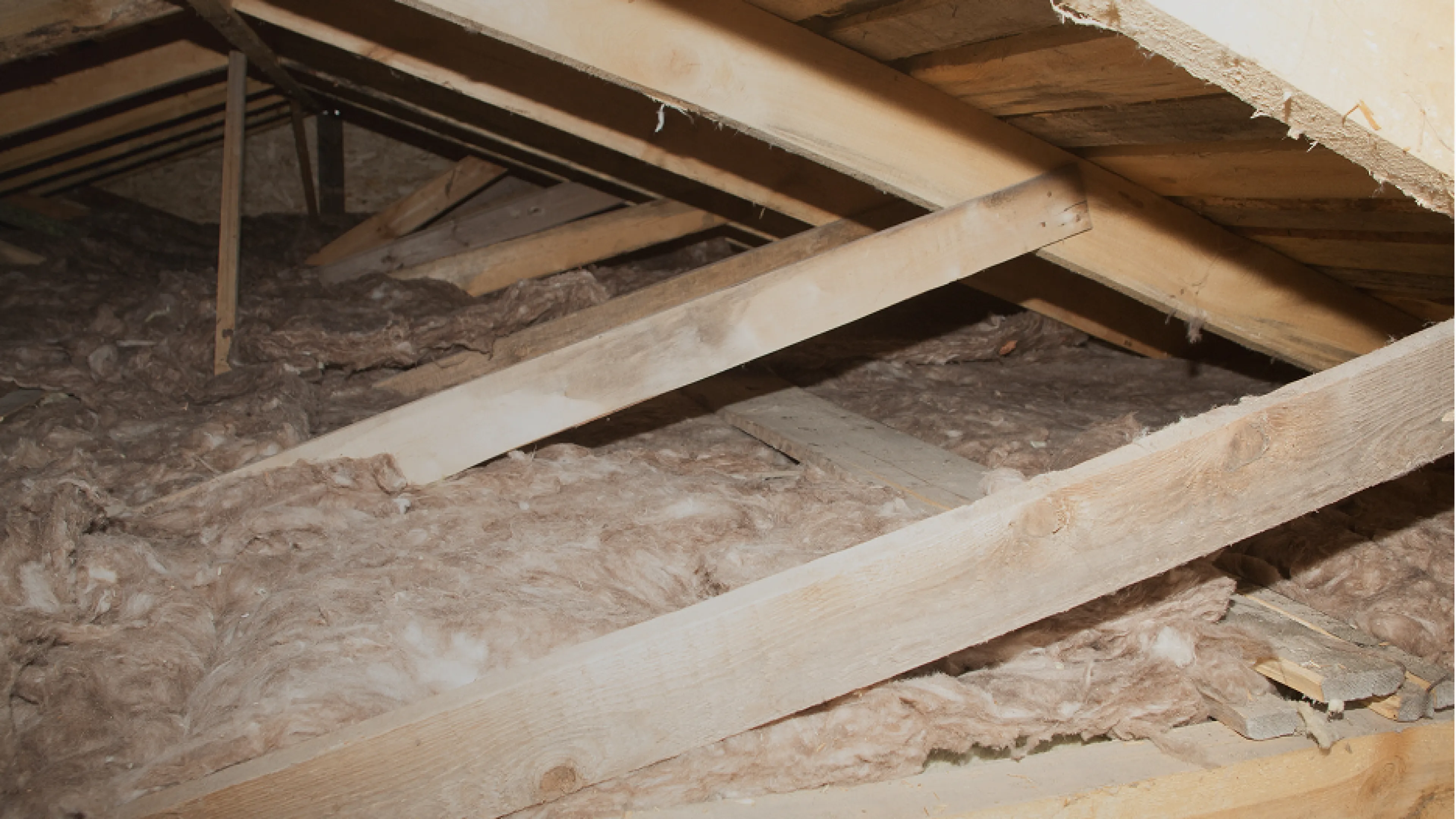 Expert Insulation Removal & Replacement Services | Rodent Guard