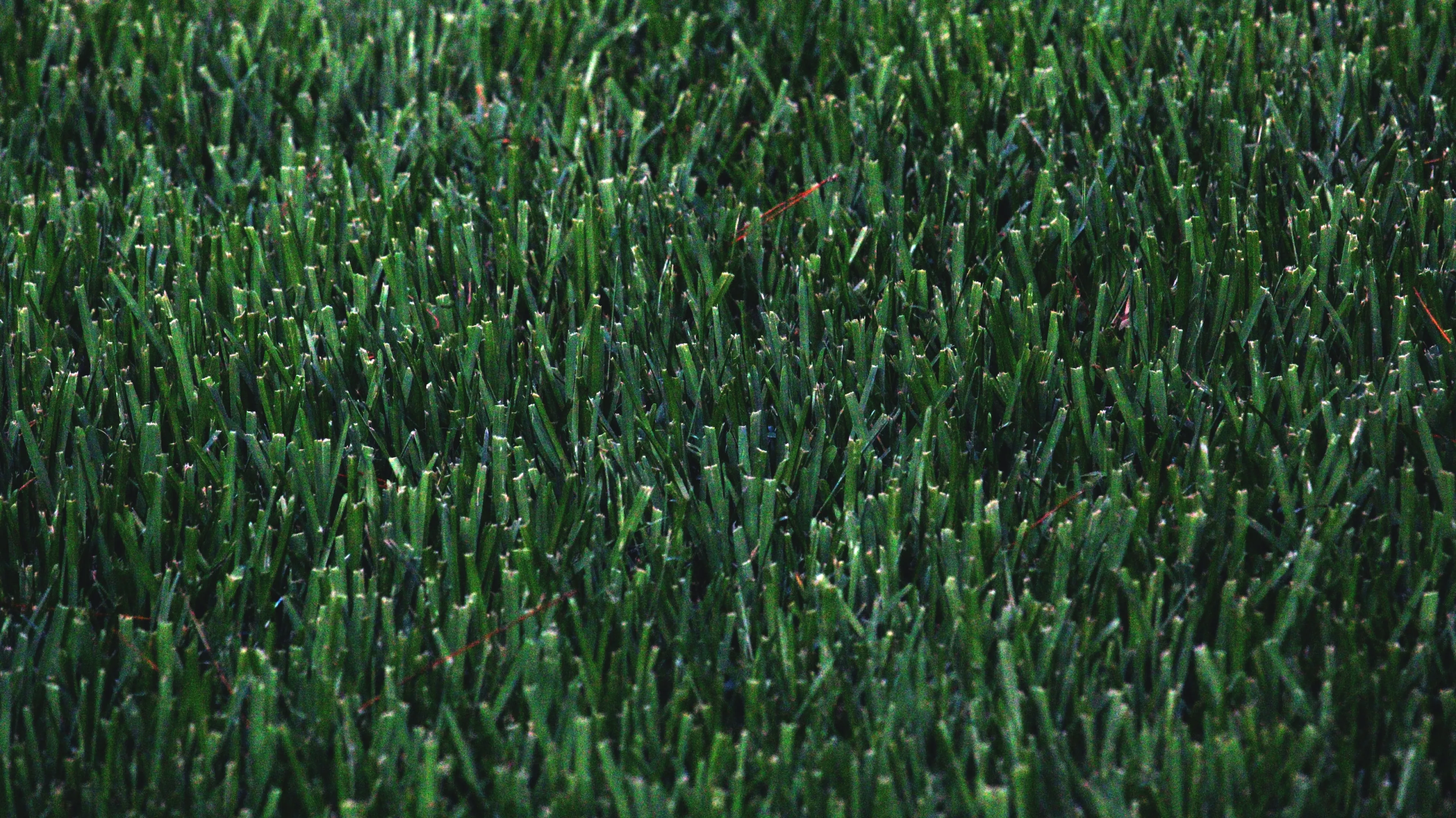 Artificial Turf Installation Long Island, NY | Turf Tek USA