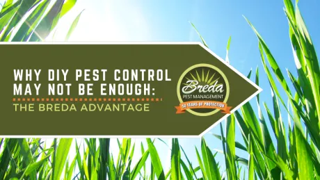 Contact Us | Breda Pest Management