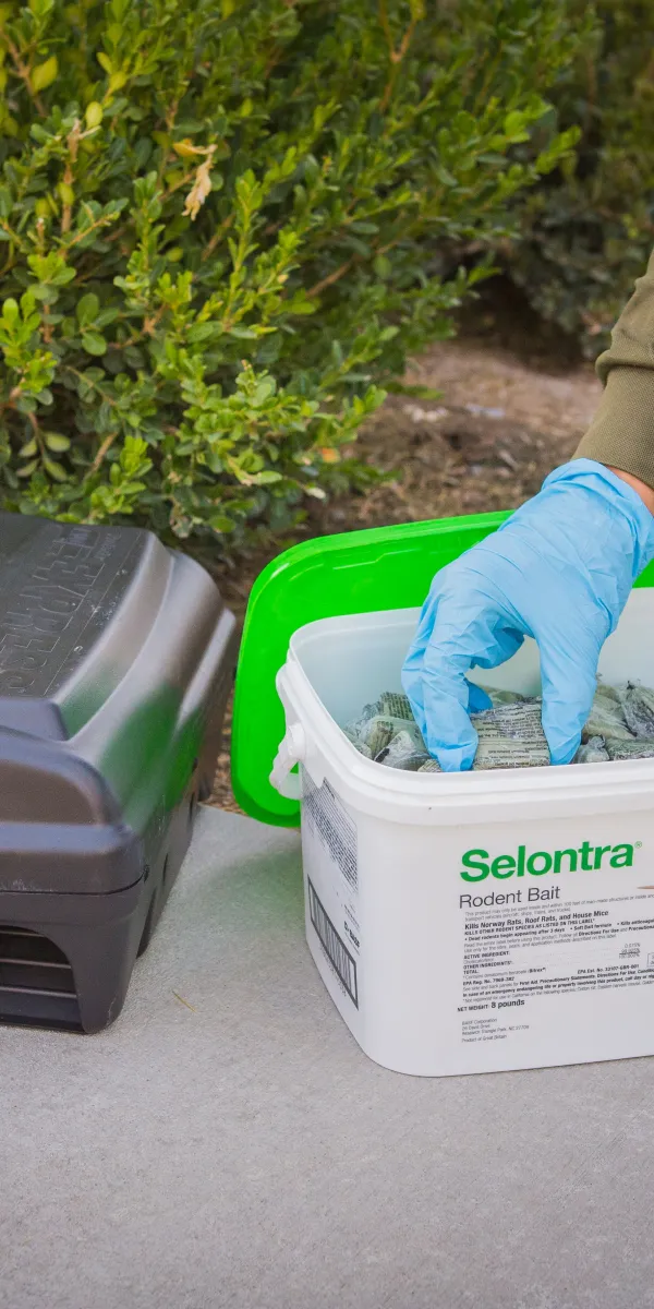 Pest Control & Exterminator Atlanta, GA | RIDD Pest Control