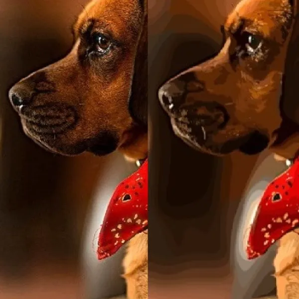 Raster vs Vector Images: The Key Differences Explained | Color Vision ...