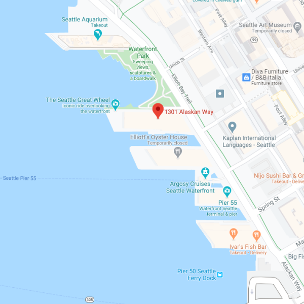 Seattle's Flying Theater | An Aerial Adventure | Wings Over Washington