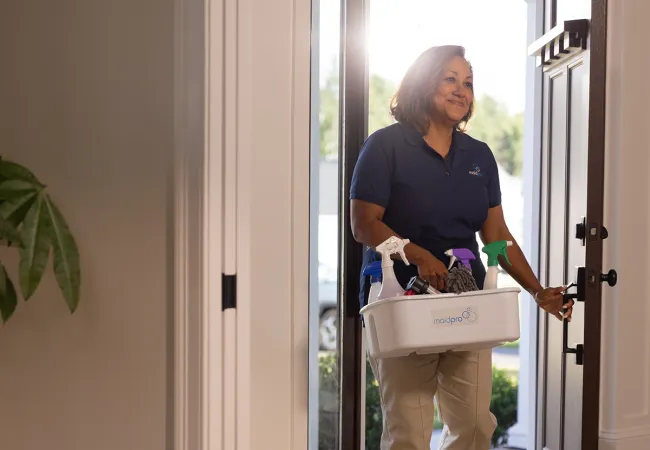 Maidpro | Threshold Brands