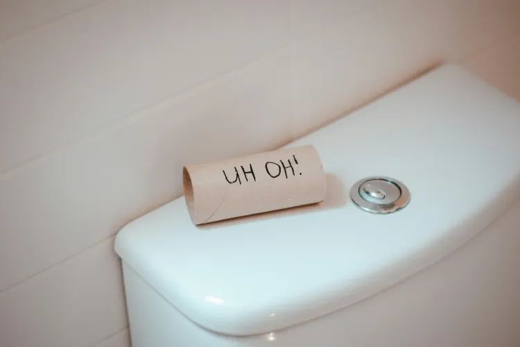 Whistling Toilet? What It Means & When to Worry