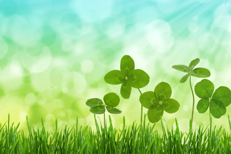 News | IBEW Local 136