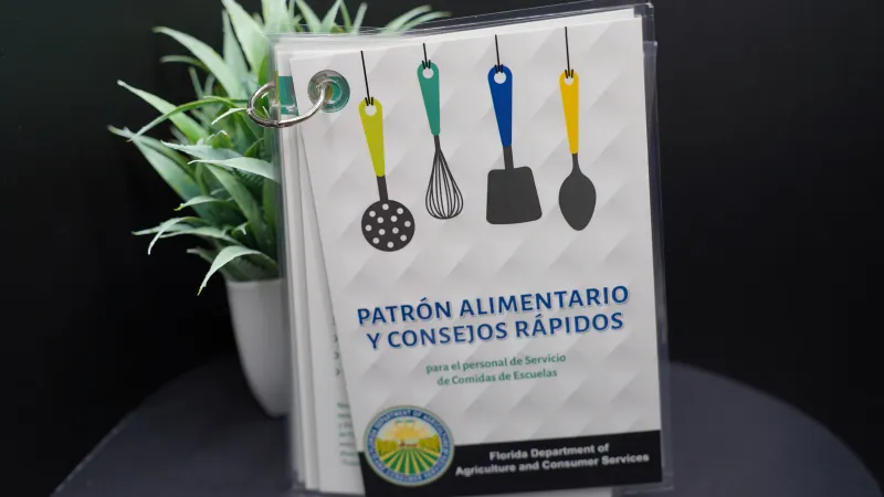 Laminated Printing Services | Highest Quality Guaranteed