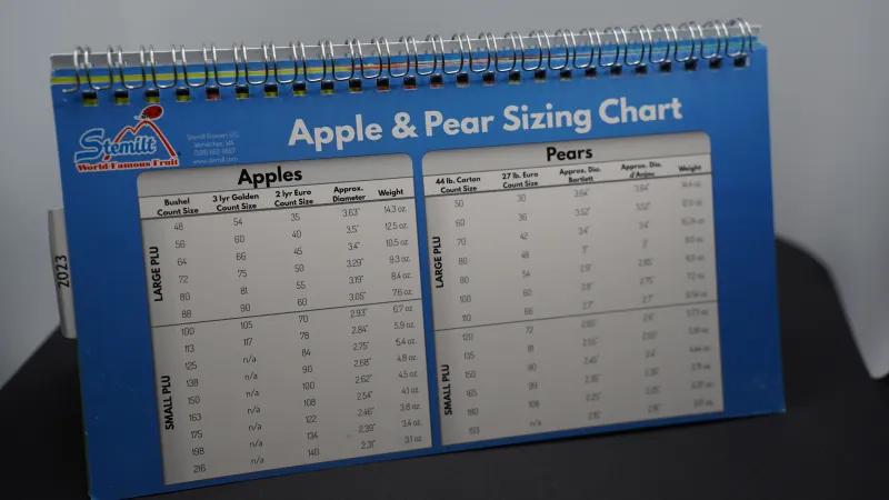 Laminated Printing Services | Highest Quality Guaranteed