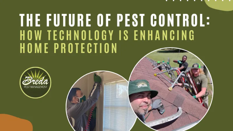 50 Years of Excellence in Pest Management | Breda Pest Management