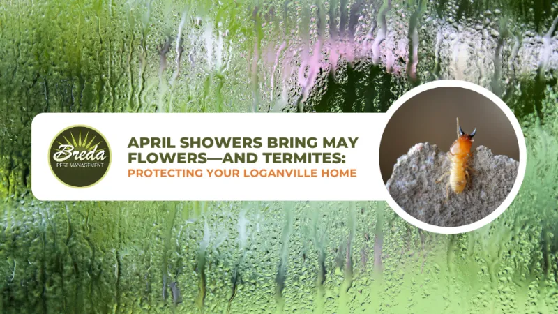 Innovative Tech Transforming Pest Control Today | Breda Pest Management