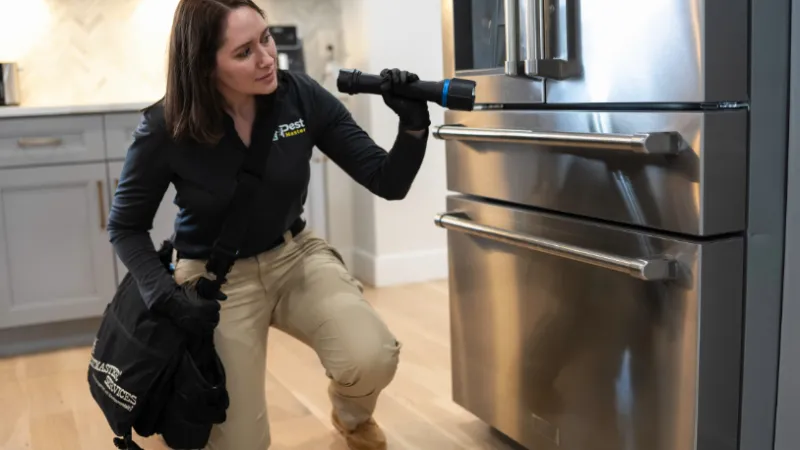 Pest Control | Exterminator | PestMaster