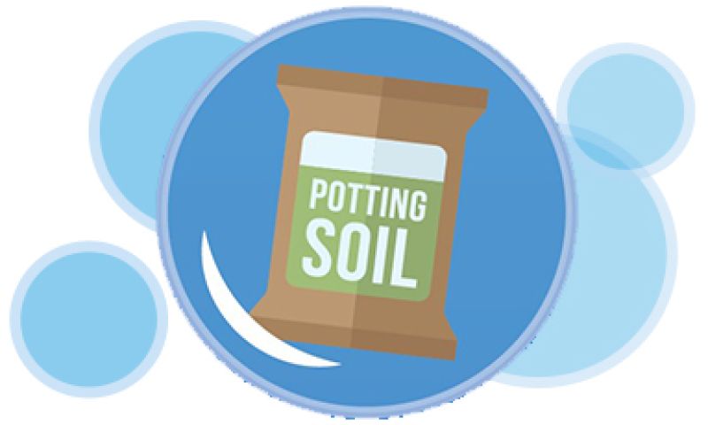 Waterwise Garden Tips | Armstrong Garden Centers