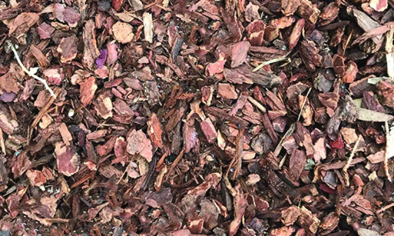 Mulch to Save Water | Armstrong Garden Centers