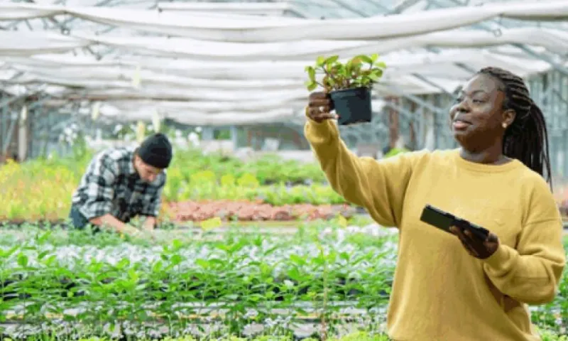 Greenhouse Associate | Pike Nurseries