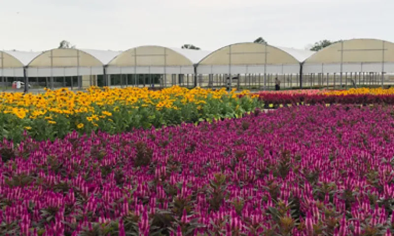 About Pike Nurseries Gardening without Guesswork | Pike Nurseries