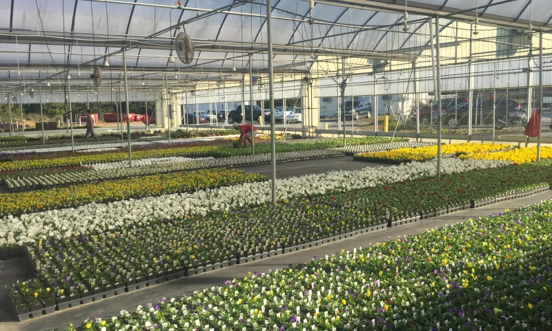 CDL Shuttle Driver | Pike Nurseries