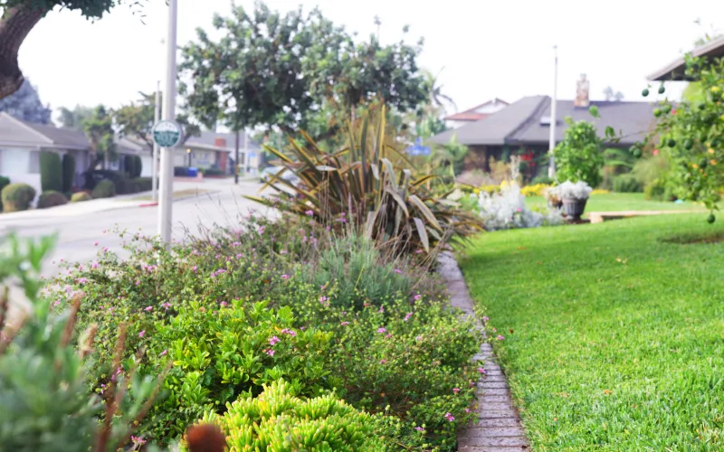 Landscape Design Services | Armstrong Garden Centers