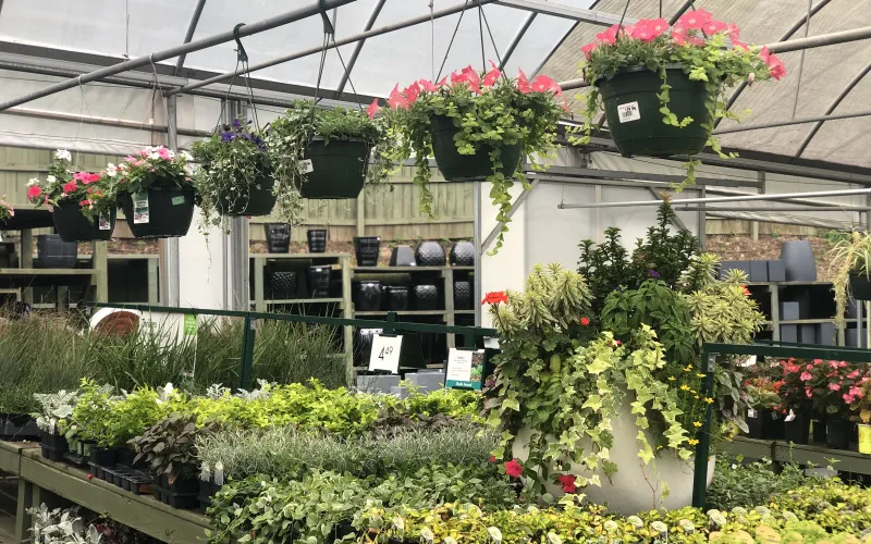Pike Nurseries Garden Center & Landscape Design Buckhead, Atlanta, GA ...