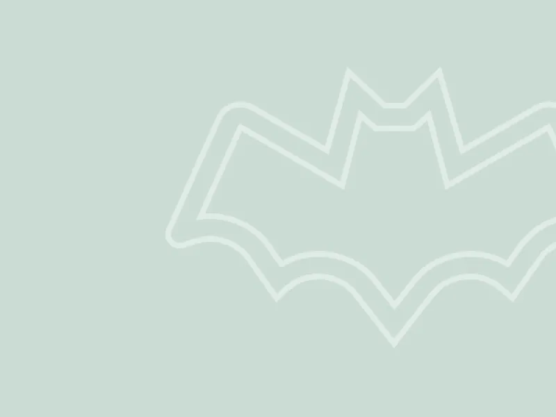 Pest Control Services | The Pest Control Experts | PestMaster