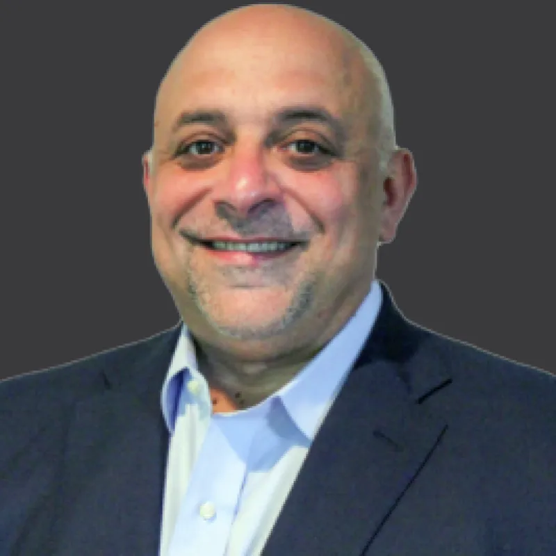 B. Riley's Perry Mandarino - Investment Banking & Capital Markets | B ...