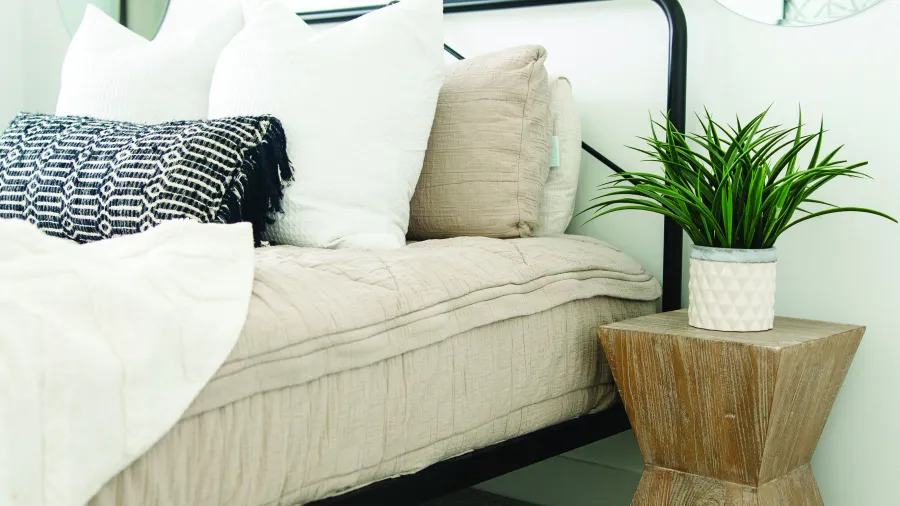 The Most Recommended Carpet Cleaner | Zerorez Carpet Cleaning