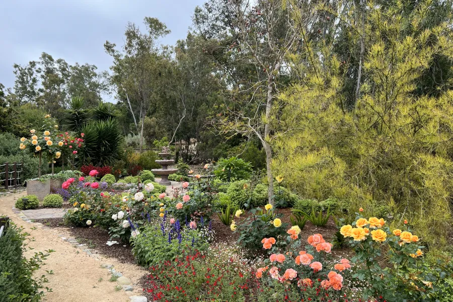 Landscape Design Services | Armstrong Garden Centers