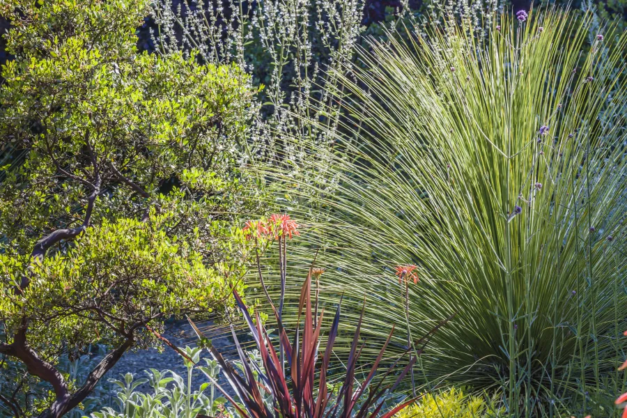 Landscape Design & Installation | Garden Supplies | Armstrong Garden ...