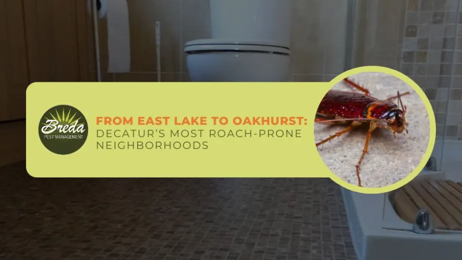 Encapsulate Crawl Spaces to Prevent Mold & Infestation | Breda Pest ...