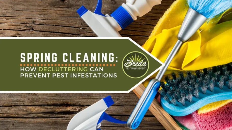 Encapsulate Crawl Spaces to Prevent Mold & Infestation | Breda Pest ...