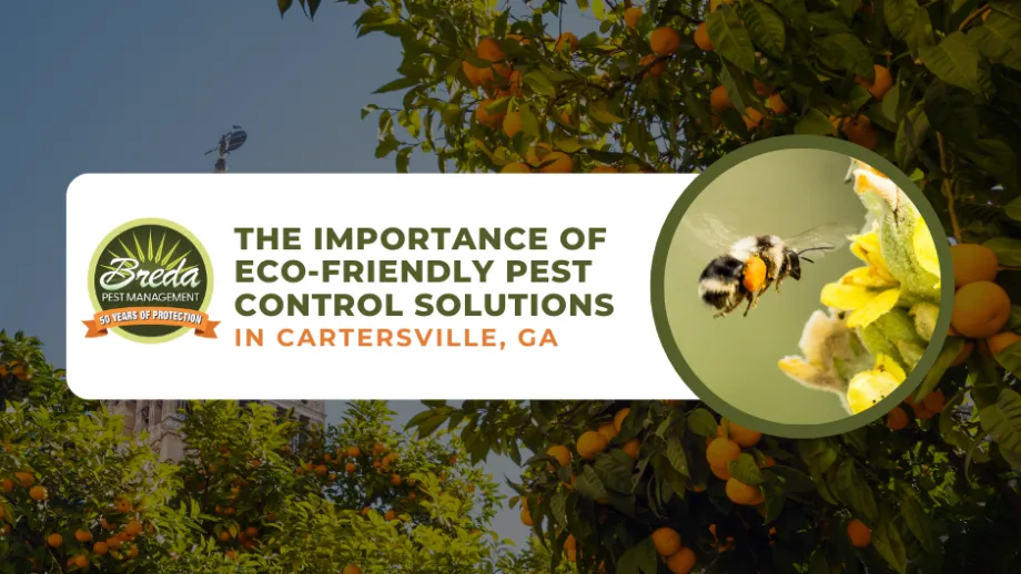 BEST Insects, Rodents, & Wildlife Control & Extermination Services Near ...