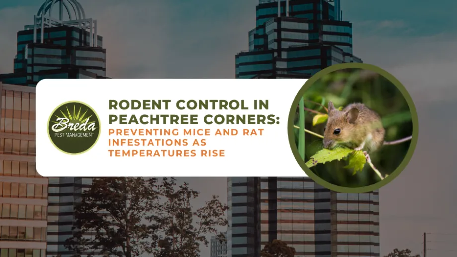 BEST Insects, Rodents, & Wildlife Control & Extermination Services Near ...