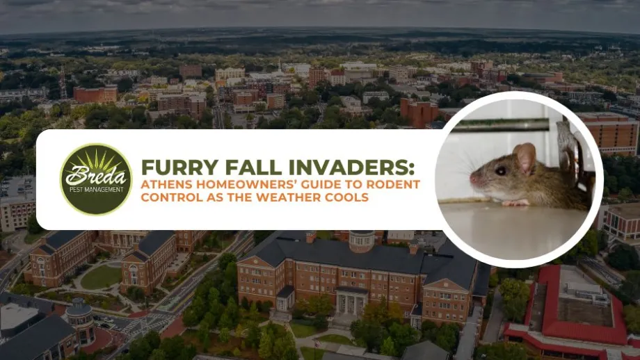 BEST Insects, Rodents, & Wildlife Control & Extermination Services Near ...