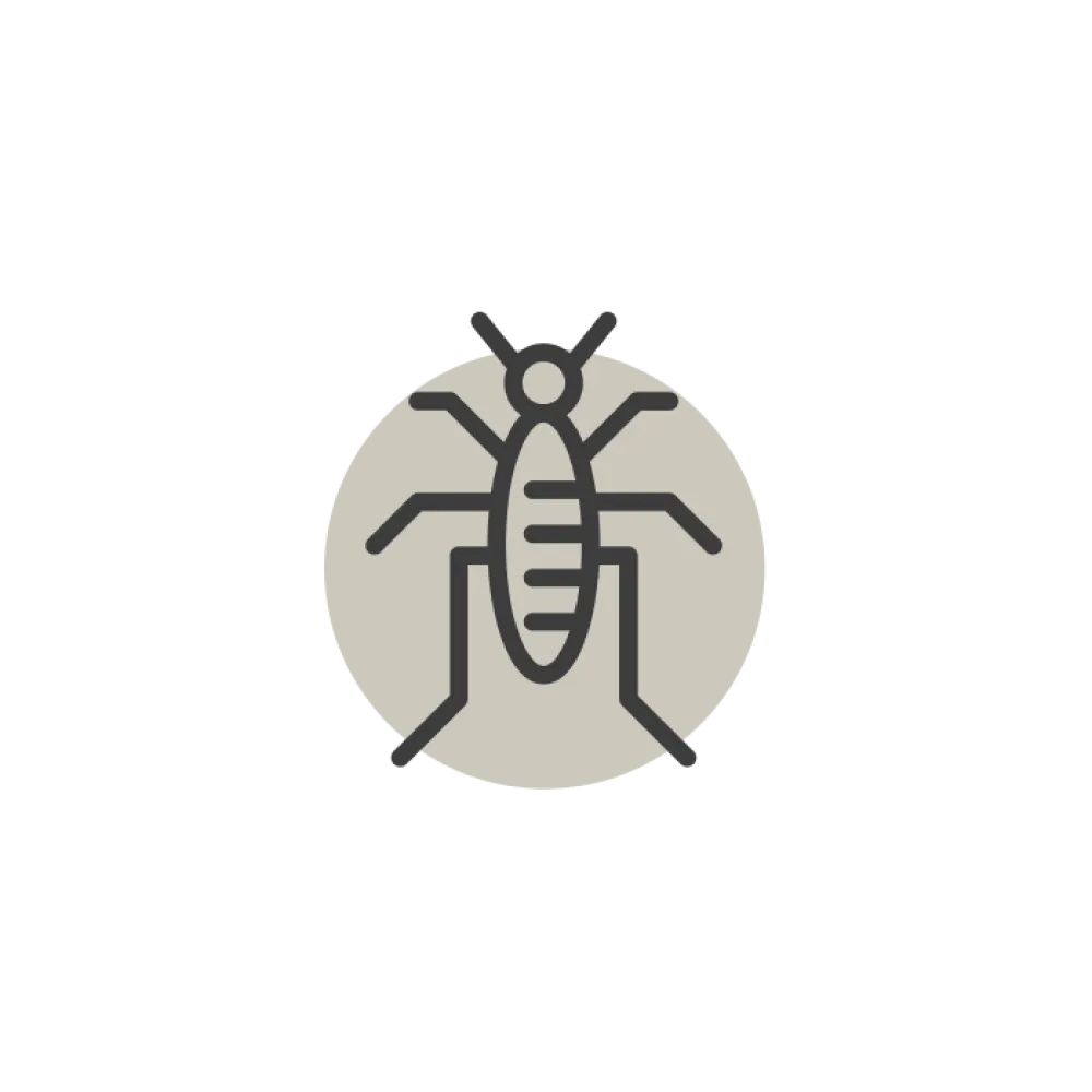 Services | Mission Pest Control