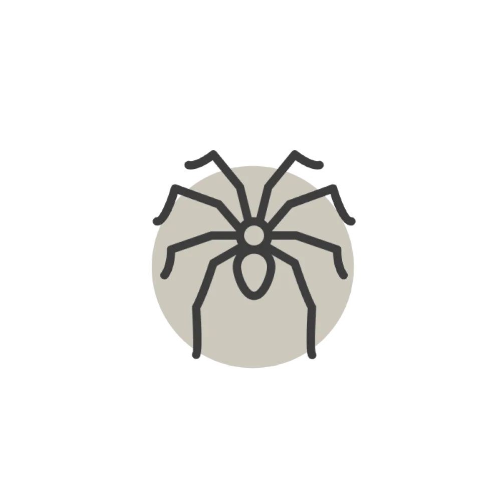 Services | Mission Pest Control